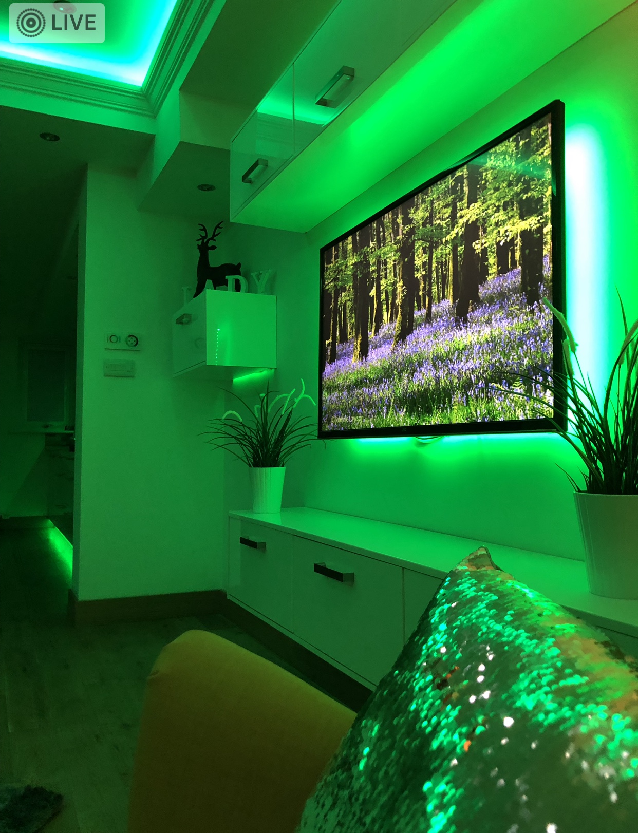 Gallery - Lady Nina Cottage | Fife | Lady Nina Cottage