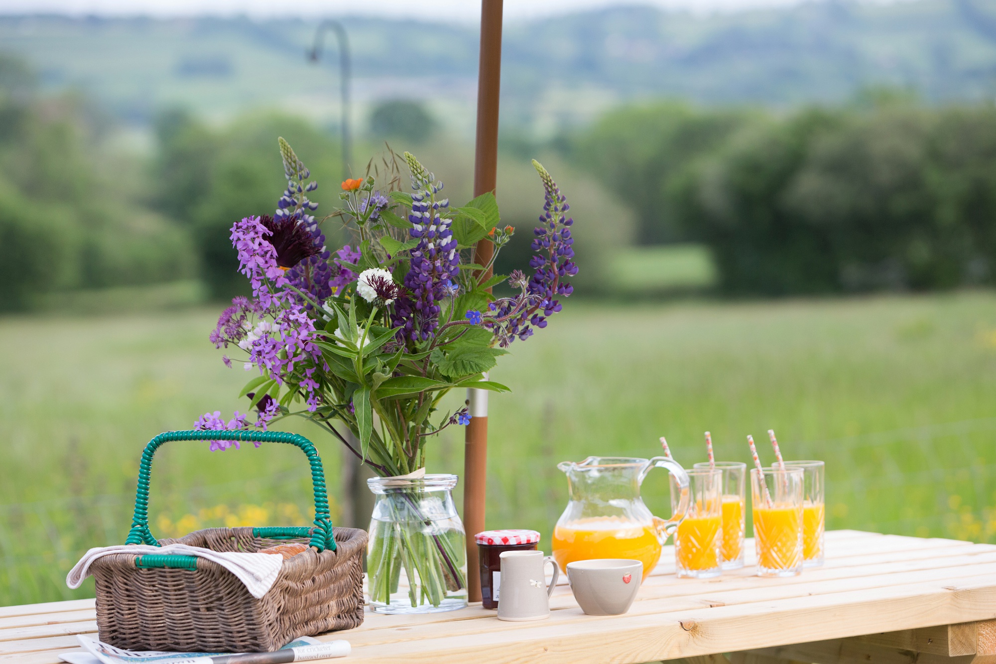 Gallery - Meadows Drift | Devon | Sleeps 12