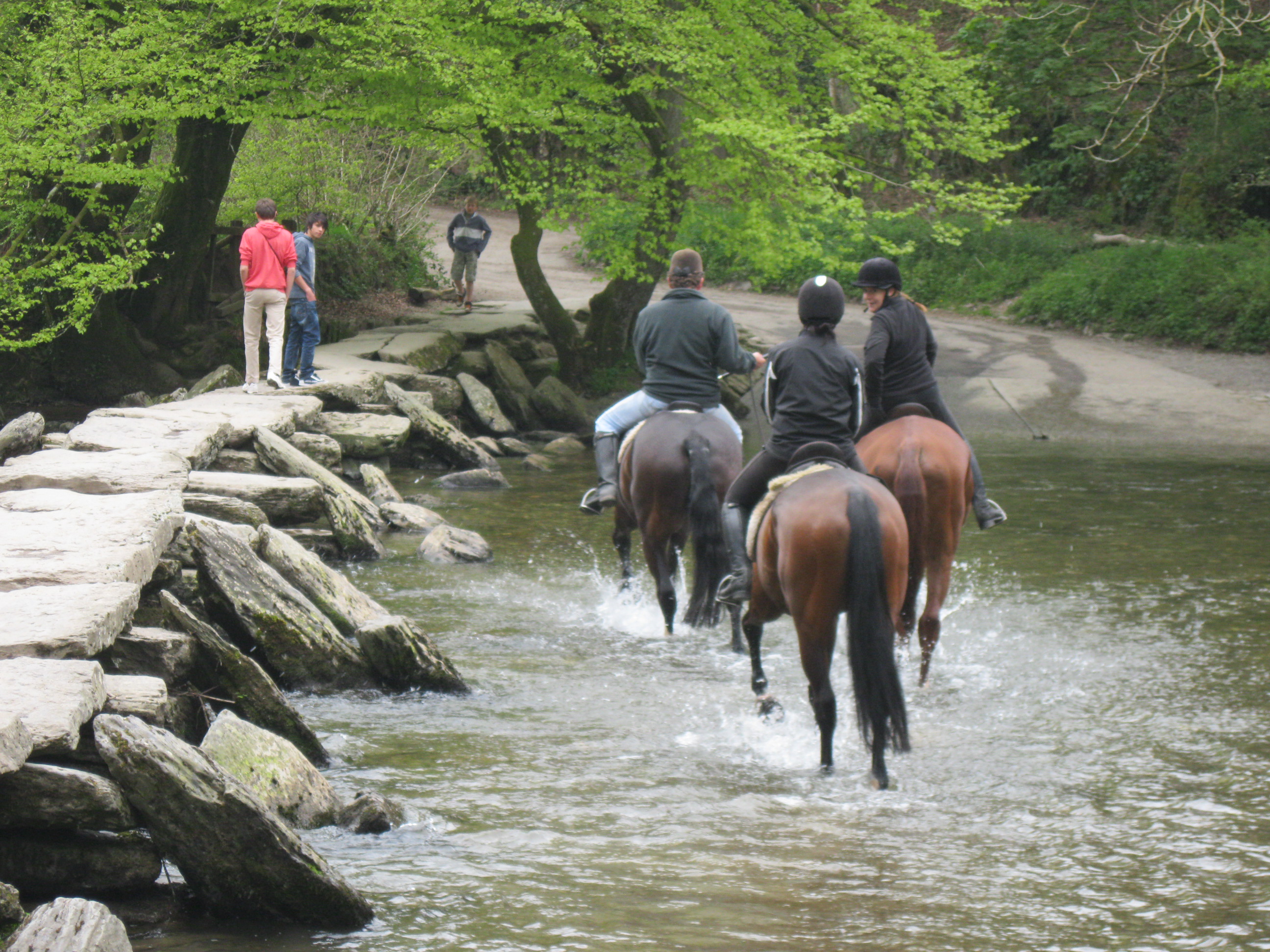 | Holiday Ideas | Porlock Vale House