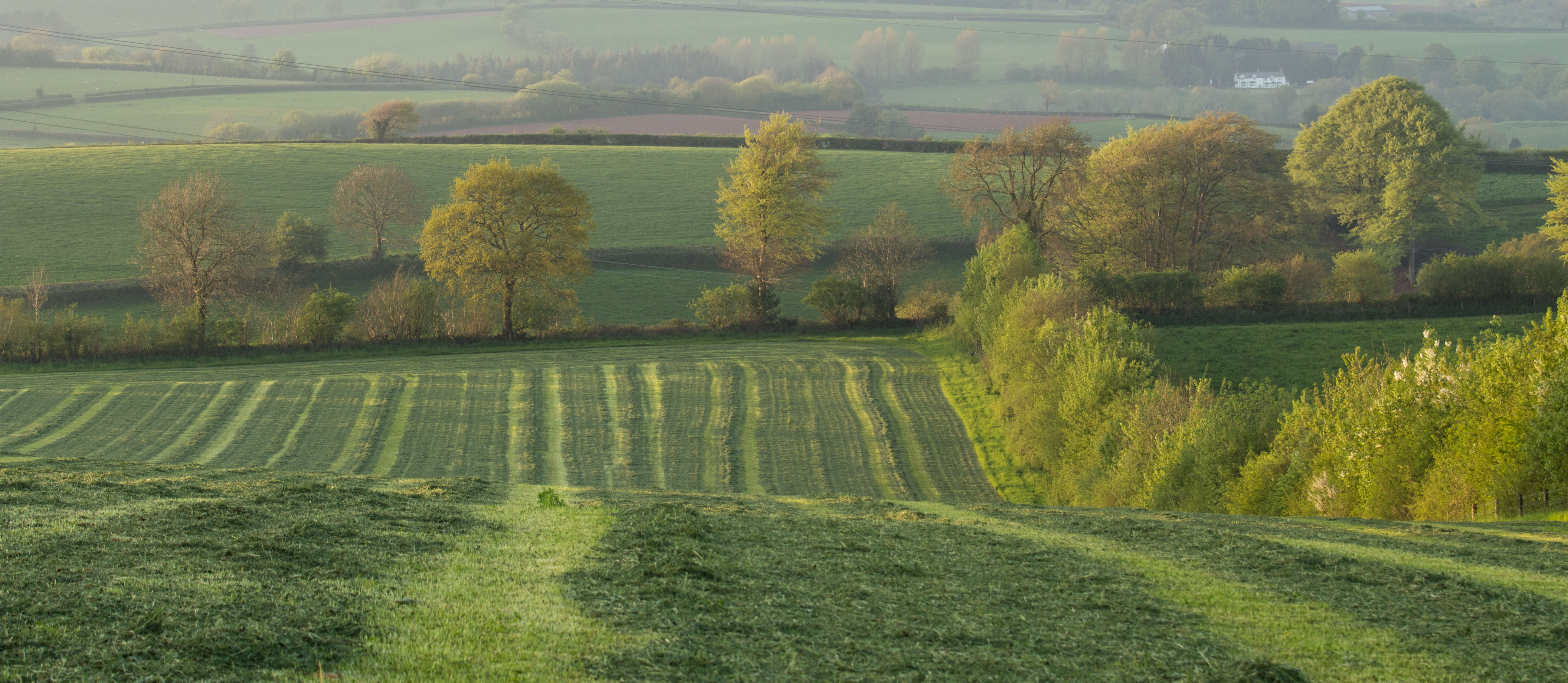 How green is our valley? | Blog | The Cottage Beyond