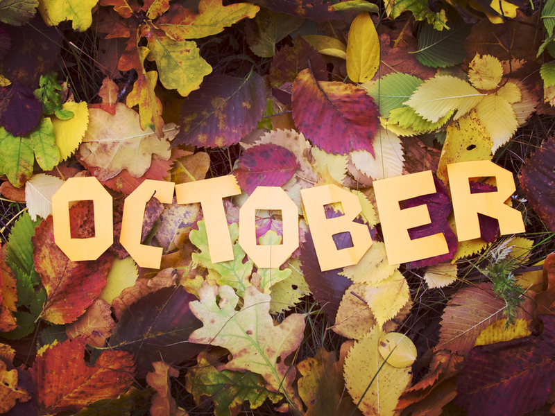 October Availability 2018 | Holiday Ideas | Sleeps 12