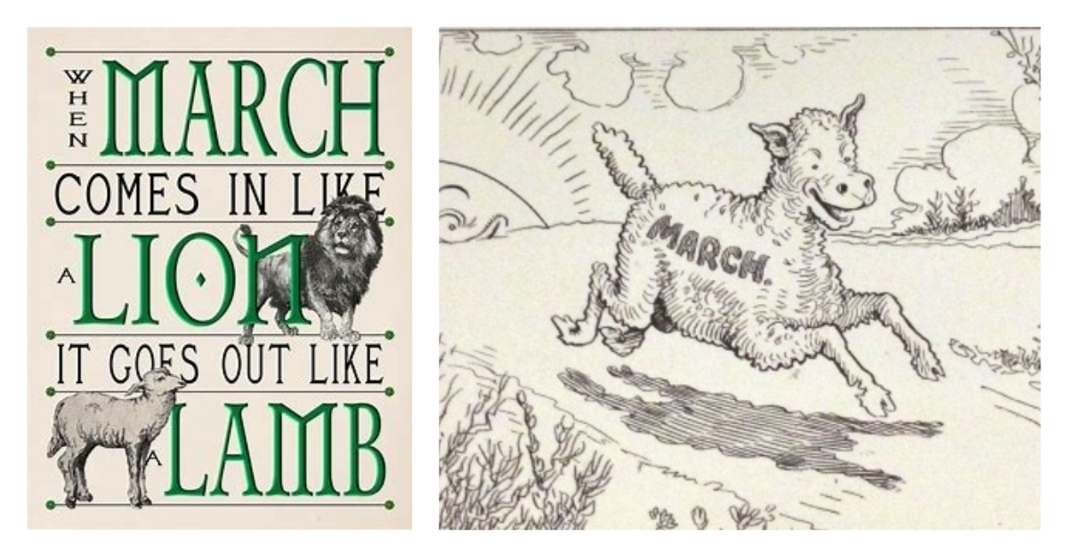 "In like a lion out like a lamb" | Blog | The Cottage Beyond